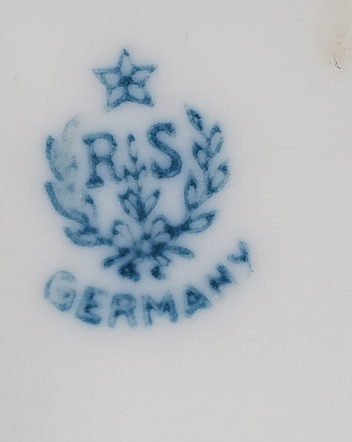 RS Germany Porcelain Hand Painted Serving Tray - Etsy