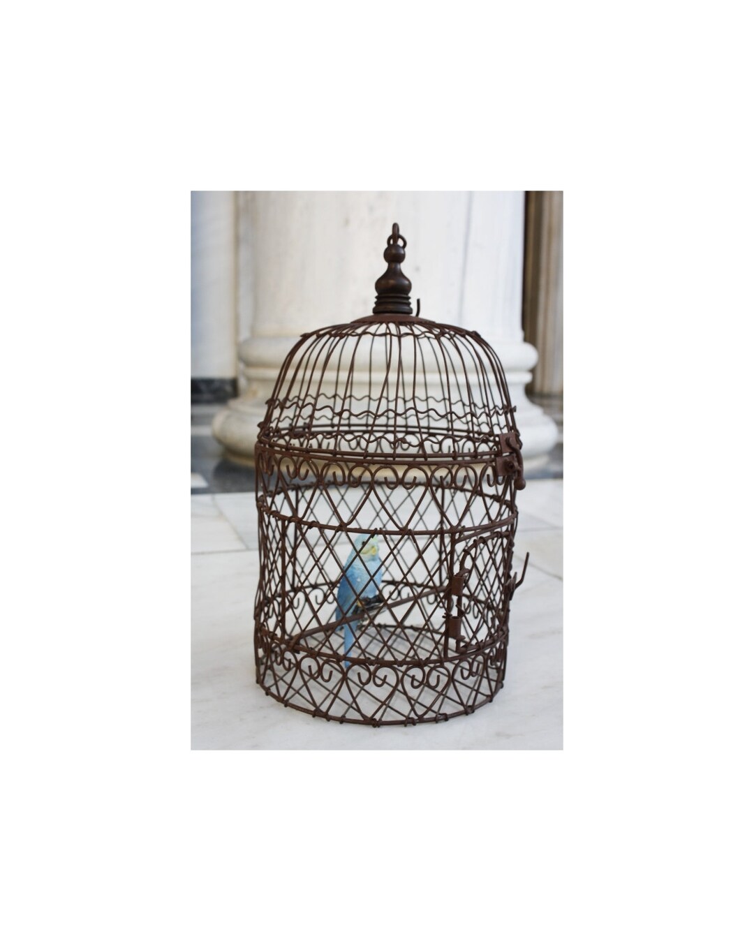 Vintage Bird Cage Hanging Bird Cage Table Top Bird Cage - Etsy