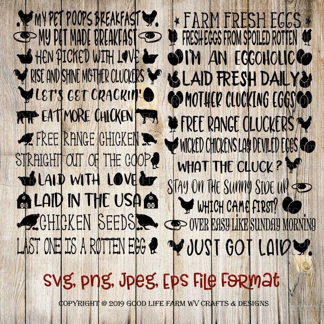 Chicken Egg Sayings SVG Bundle: 24 Funny Designs (digital Download) - Etsy