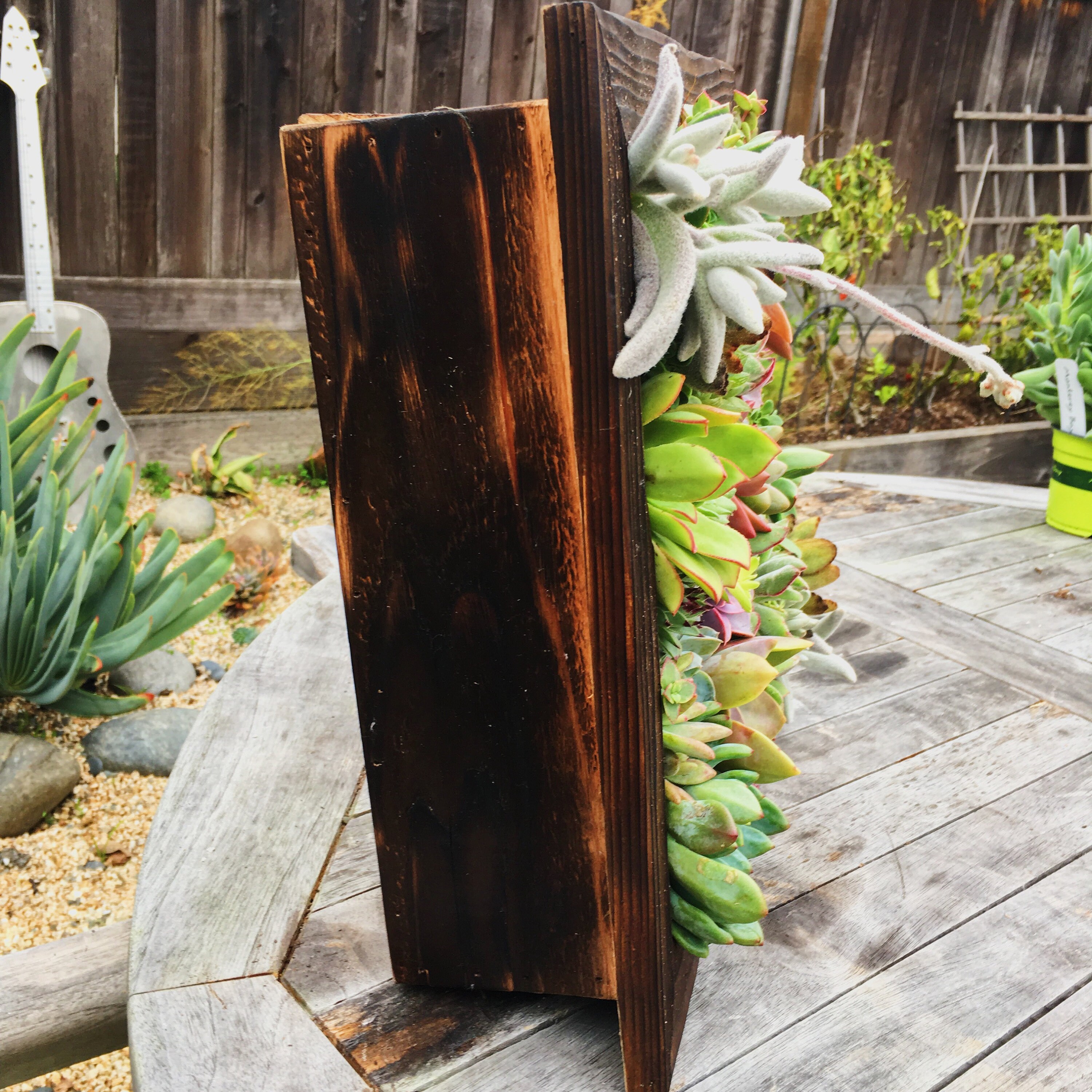 14 Shou Sugi Bahn Cedar Planter Filled With Live - Etsy