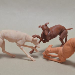 Hunter Dog(lurcher) BJD Art Doll //articulate Dog Doll/different ...