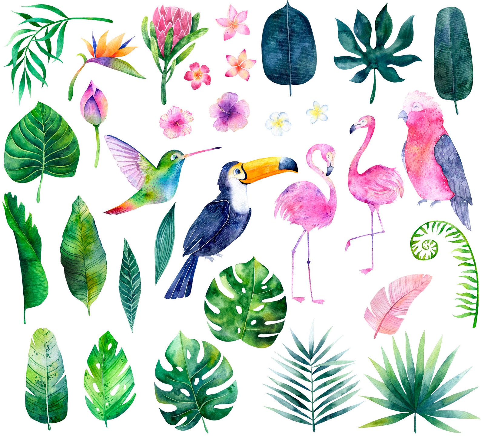 Tropical Clipart. Tropic Flamingo Watercolor. Hawaii Watercolor Clip ...