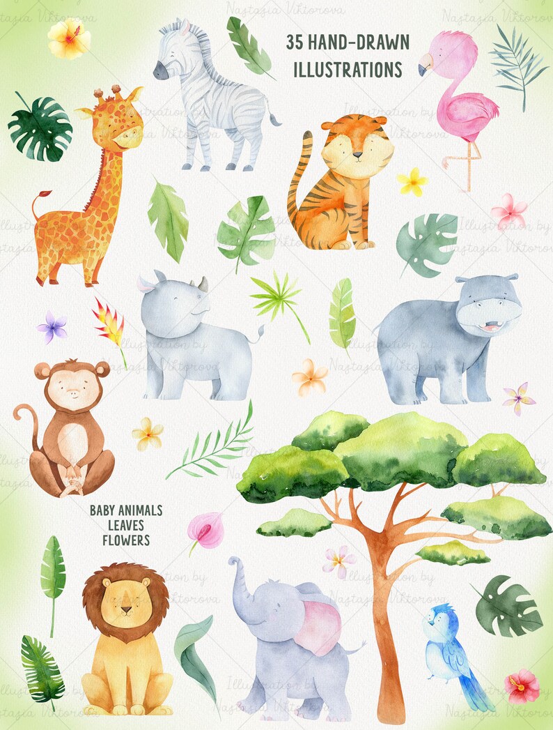 Jungle Baby Shower Clipart Safari Nursery Art Tiger and Lion - Etsy