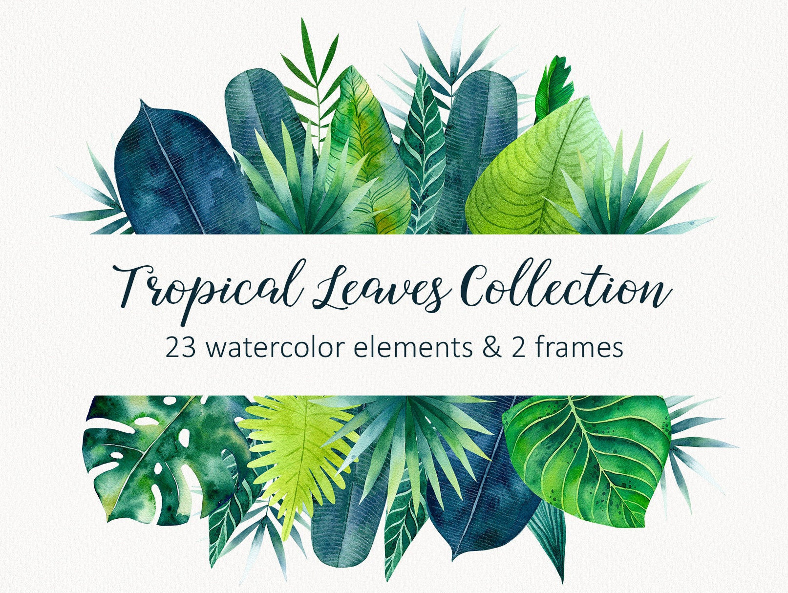 Tropical Leaves Set Watercolor Leaf Clip Art Exotic | Etsy