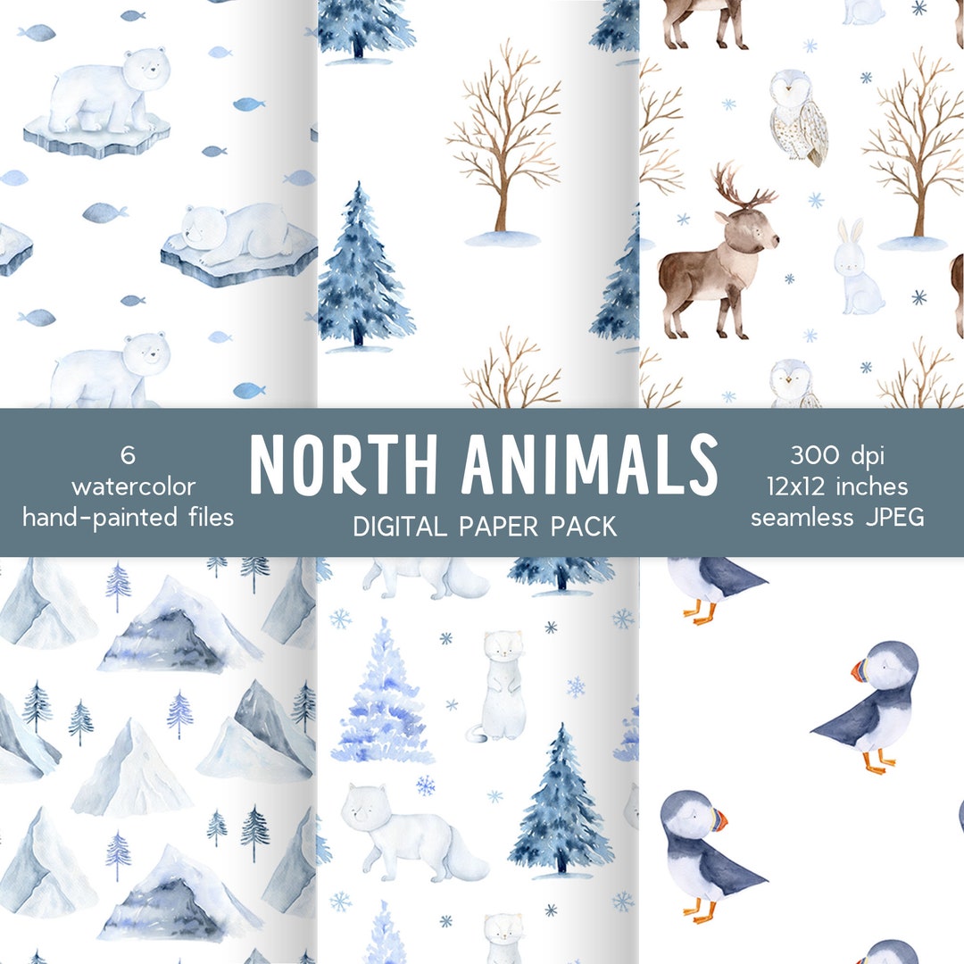 Winter Animals Digital Paper: Seamless Woodland Patterns (JPEG 12x12 ...