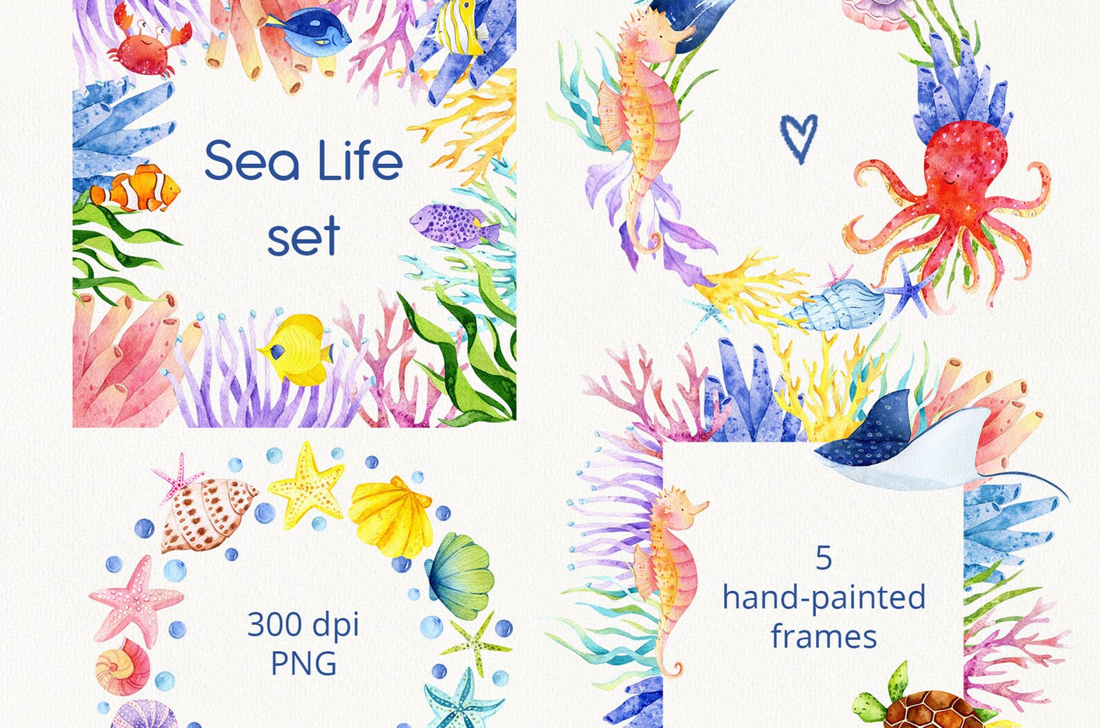 Sea Life Frames. Ocean Animal Clipart. Underwater Borders and - Etsy