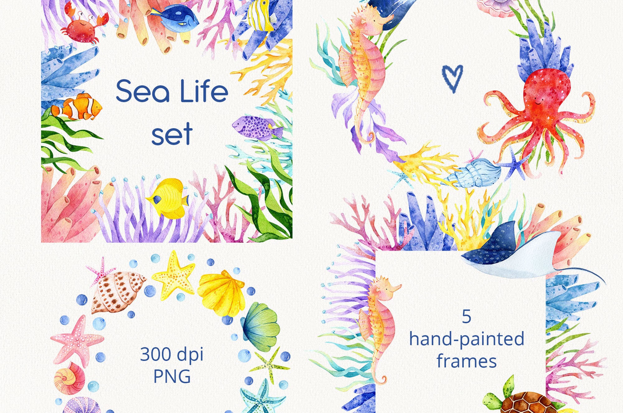 Sea Life Frames. Ocean Animal Clipart. Underwater Borders and - Etsy