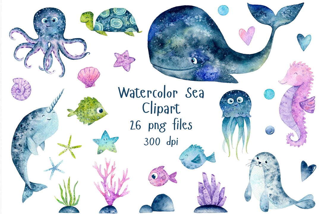 Sea Watercolor Clipart Ocean Clip Art Whale Narwhal Fur - Etsy