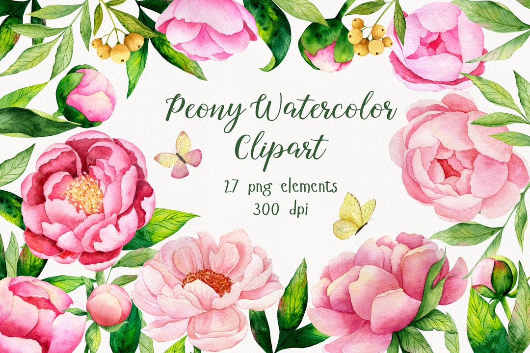 Peony Clipart, Peonies Watercolor Clipart, Peony Wedding Invitation ...
