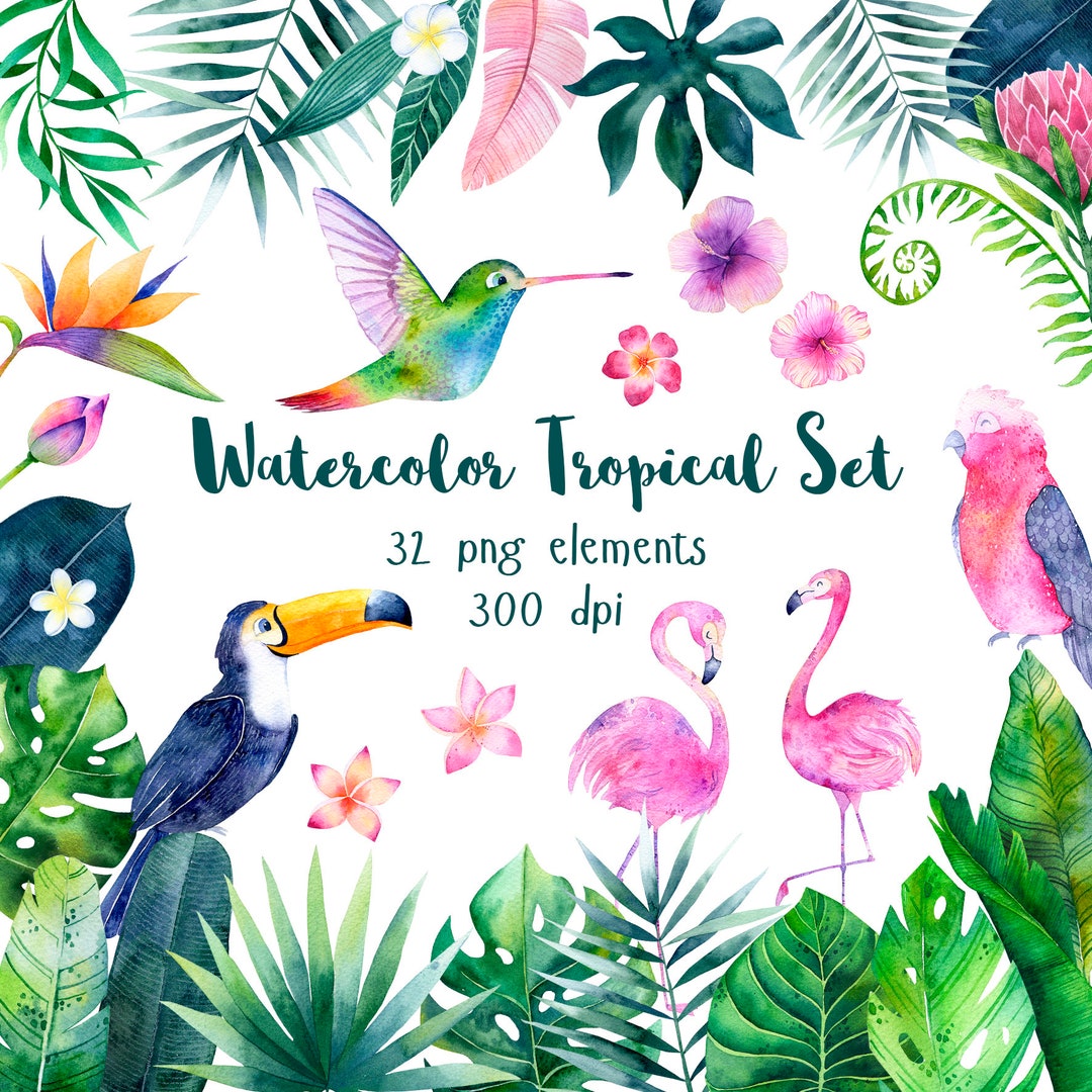 Tropical Clipart. Tropic Flamingo Watercolor. Hawaii Watercolor Clip ...
