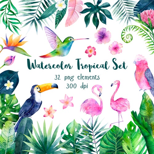 Watercolor Tropical Clipart Summer Floral Clip Art Toucan Bird - Etsy