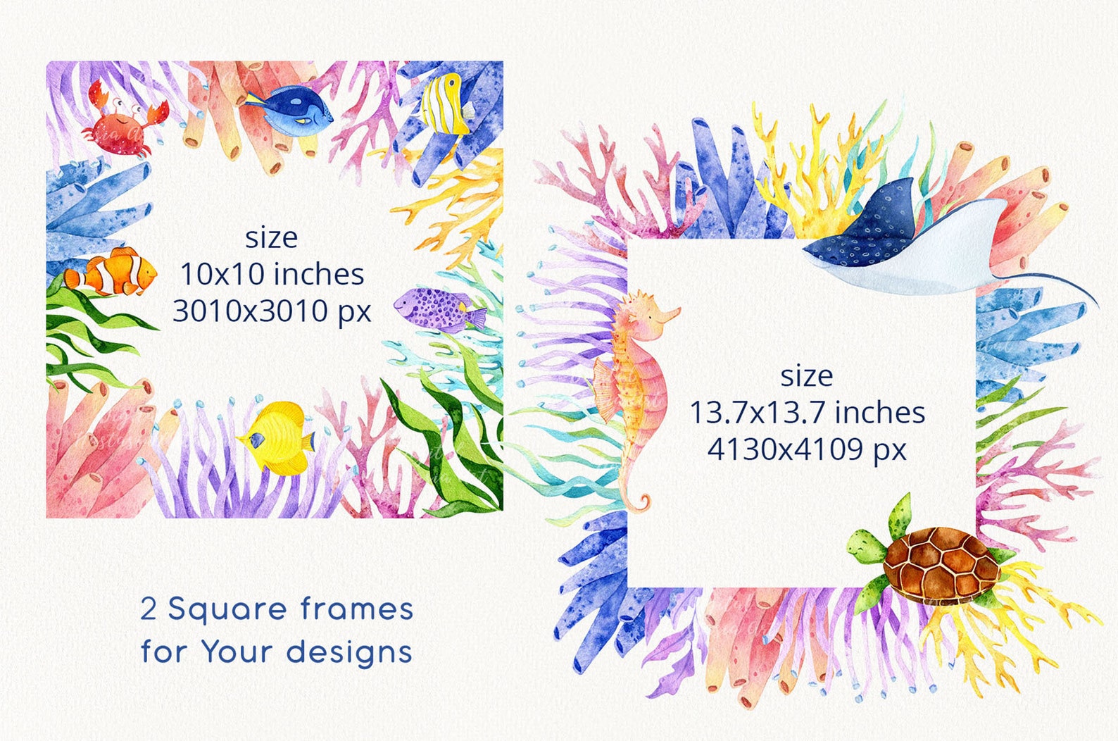 Sea Life Frames. Ocean Animal Clipart. Underwater Borders and - Etsy