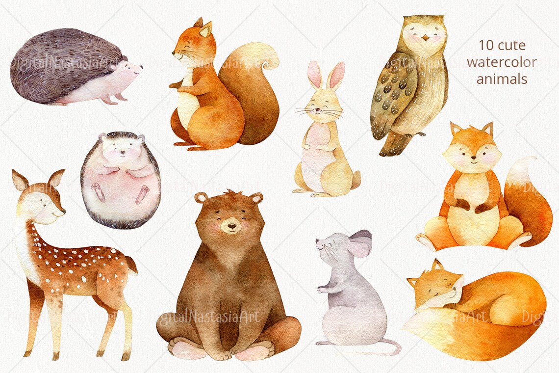 Watercolor Forest Baby Animals Clipart. Woodland Nursery Clip Art. Hand ...