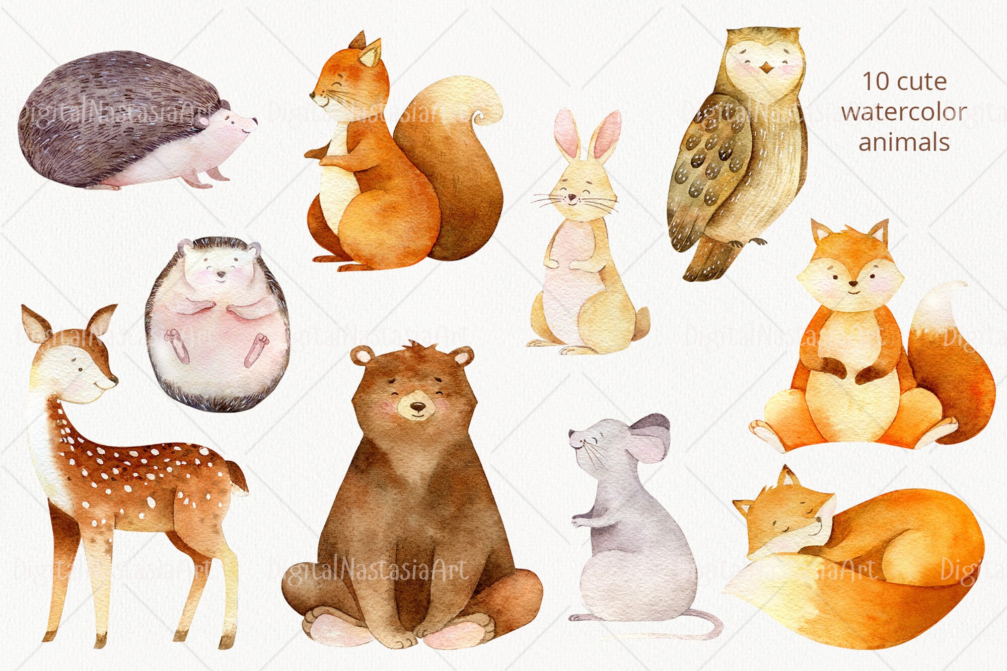 Watercolor Forest Baby Animals Clipart. Woodland Nursery Clip - Etsy