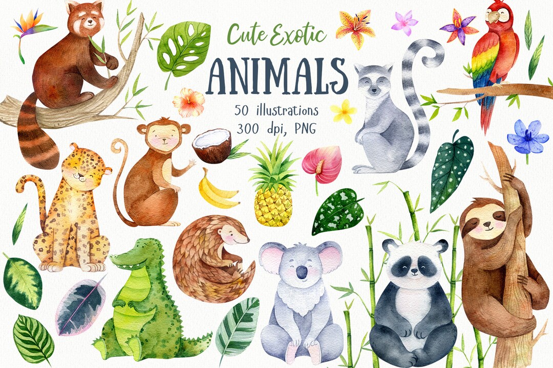 Jungle Animals Clipart, Sloth Clip Art, Safari Illustration, Monkey Png ...