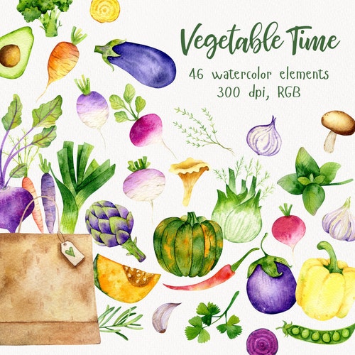 Vegetable Watercolor Clipart Food Clip Art Healthy Food Set - Etsy