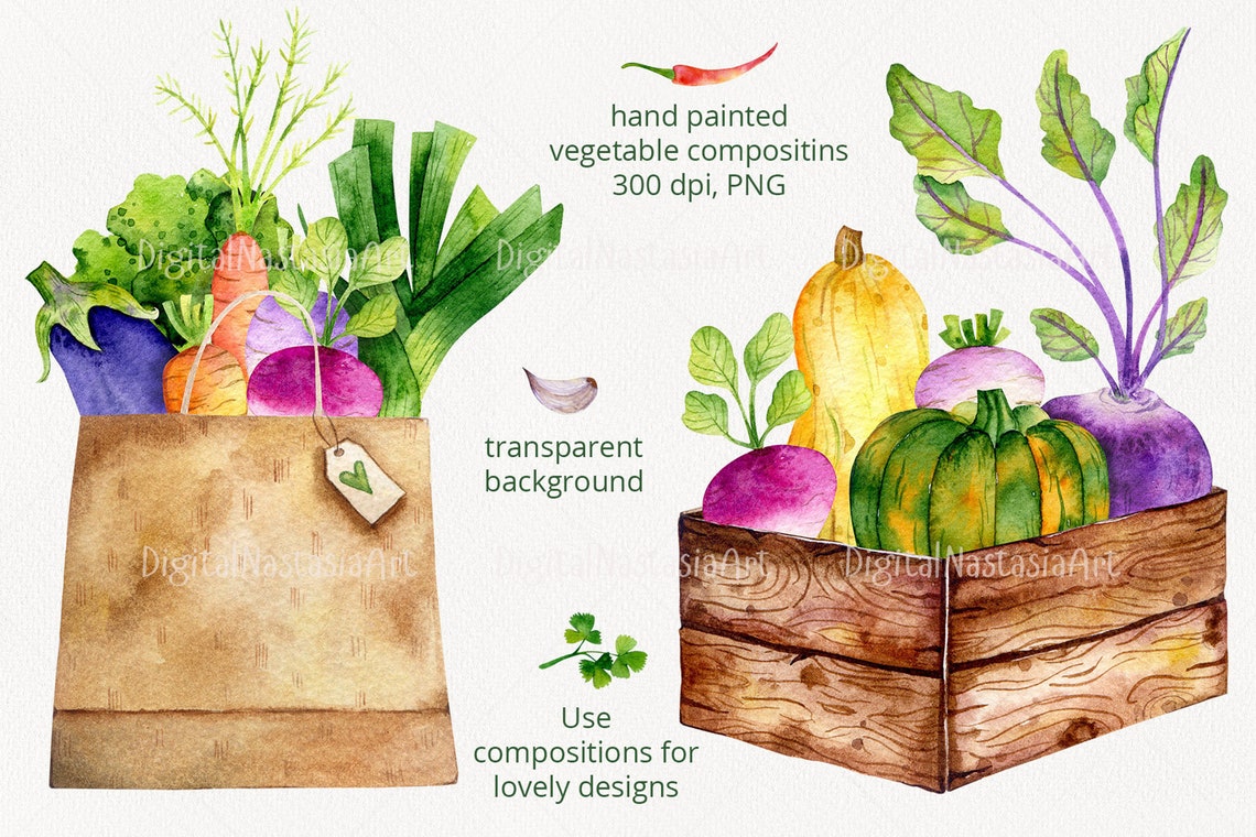 Watercolor Vegetable Clipart. Eco Friendly Farm and Kitchen Clipart ...