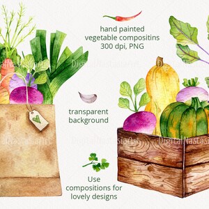 Watercolor Vegetable Clipart. Eco Friendly Farm and Kitchen Clipart ...