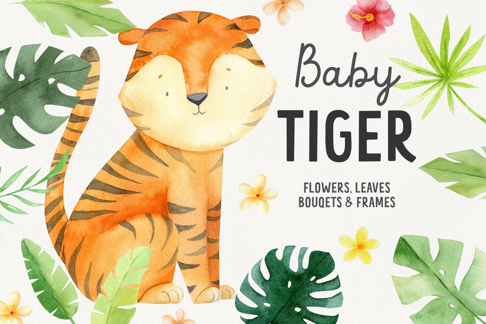Tiger Baby Shower Clipart Jungle Safari Cute Animal Clipart - Etsy