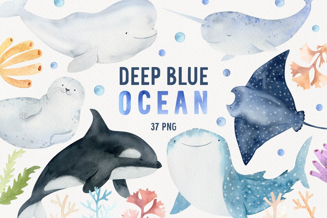 Cute Ocean Animal Clipart, Hand-drawn Baby Shark, Seal, Narwhal Png ...