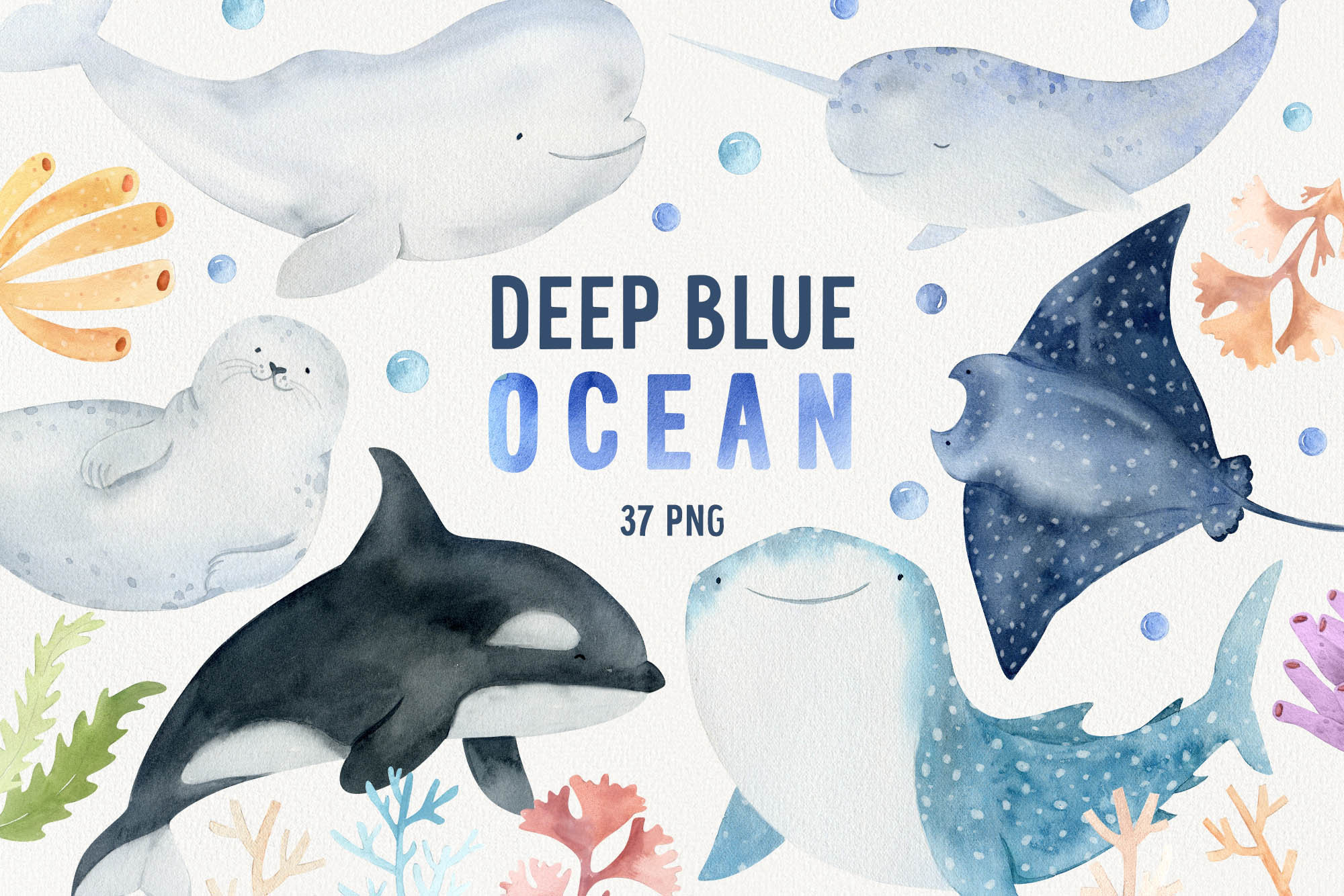 Cute Ocean Animal Clipart Hand-drawn Baby Shark Seal | Etsy