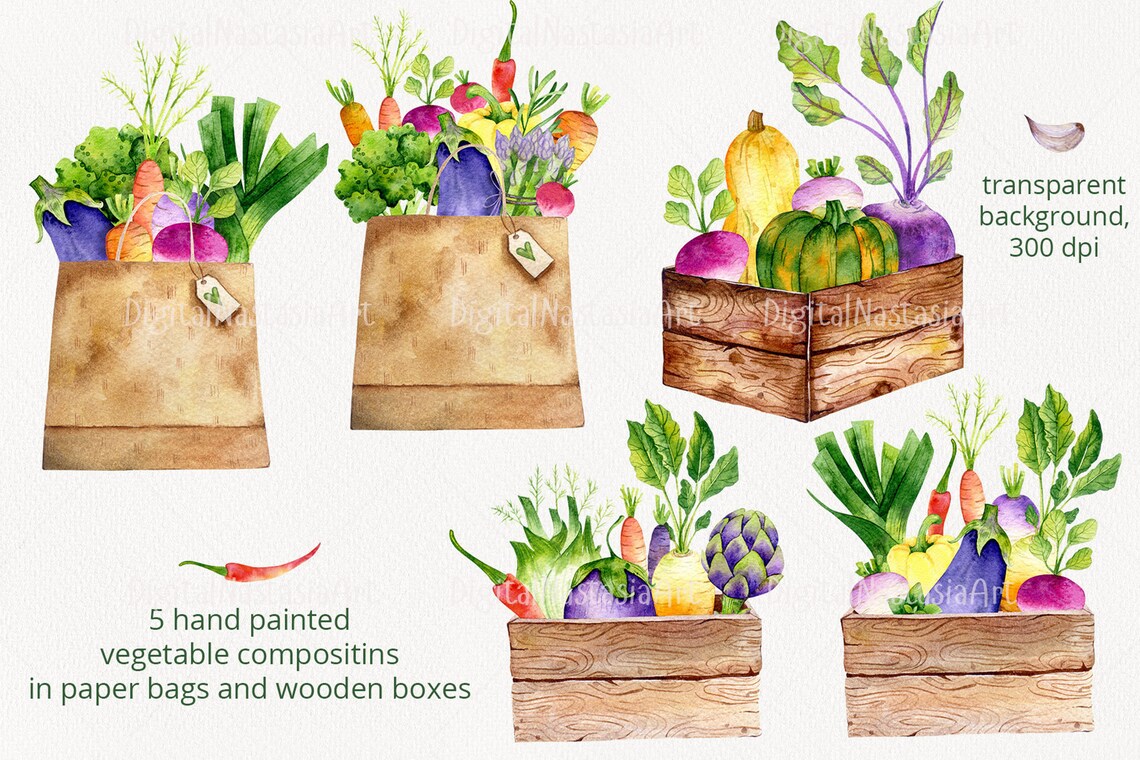Watercolor Vegetable Clipart. Eco Friendly Farm and Kitchen - Etsy