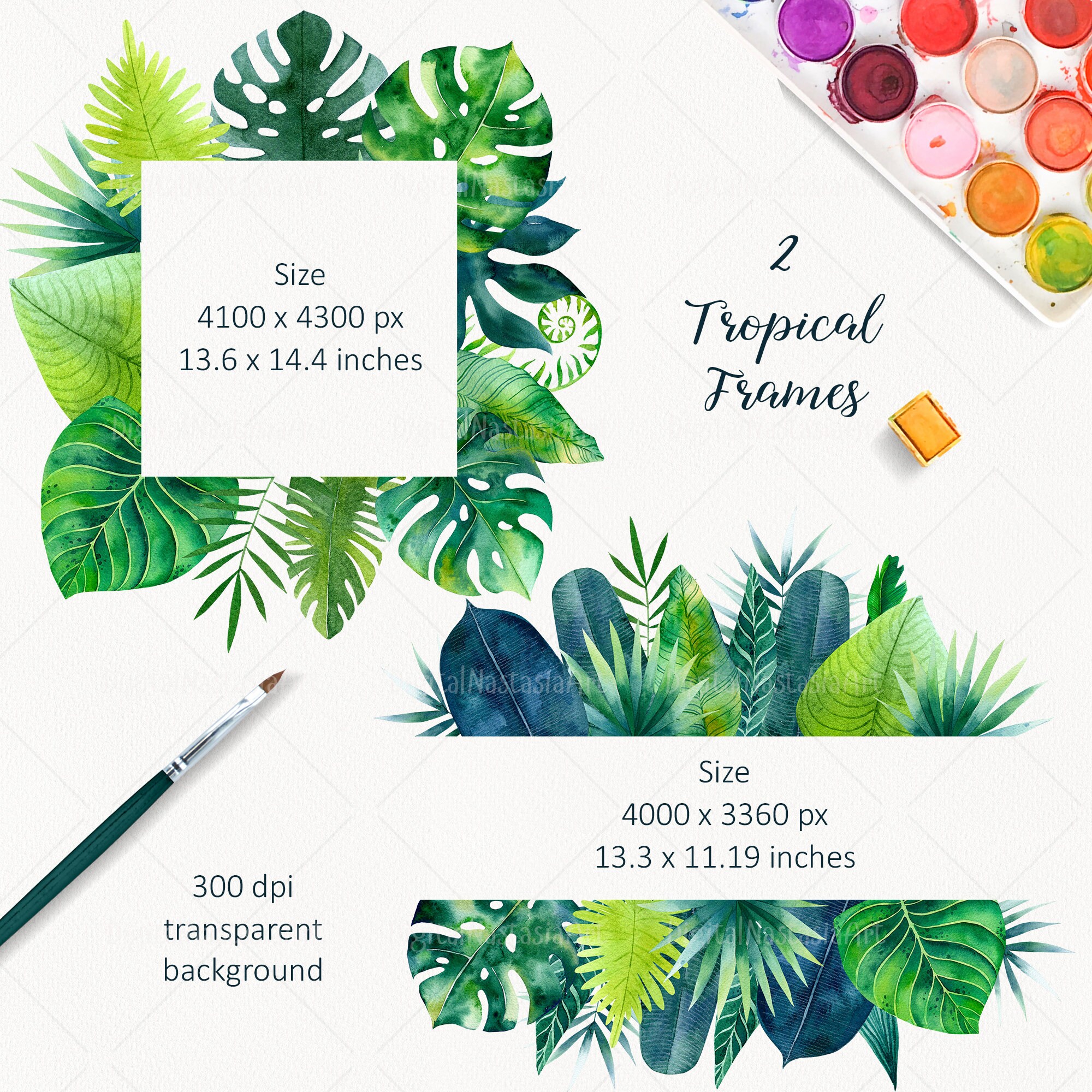 Tropical Leaves Set Watercolor Leaf Clip Art Exotic | Etsy