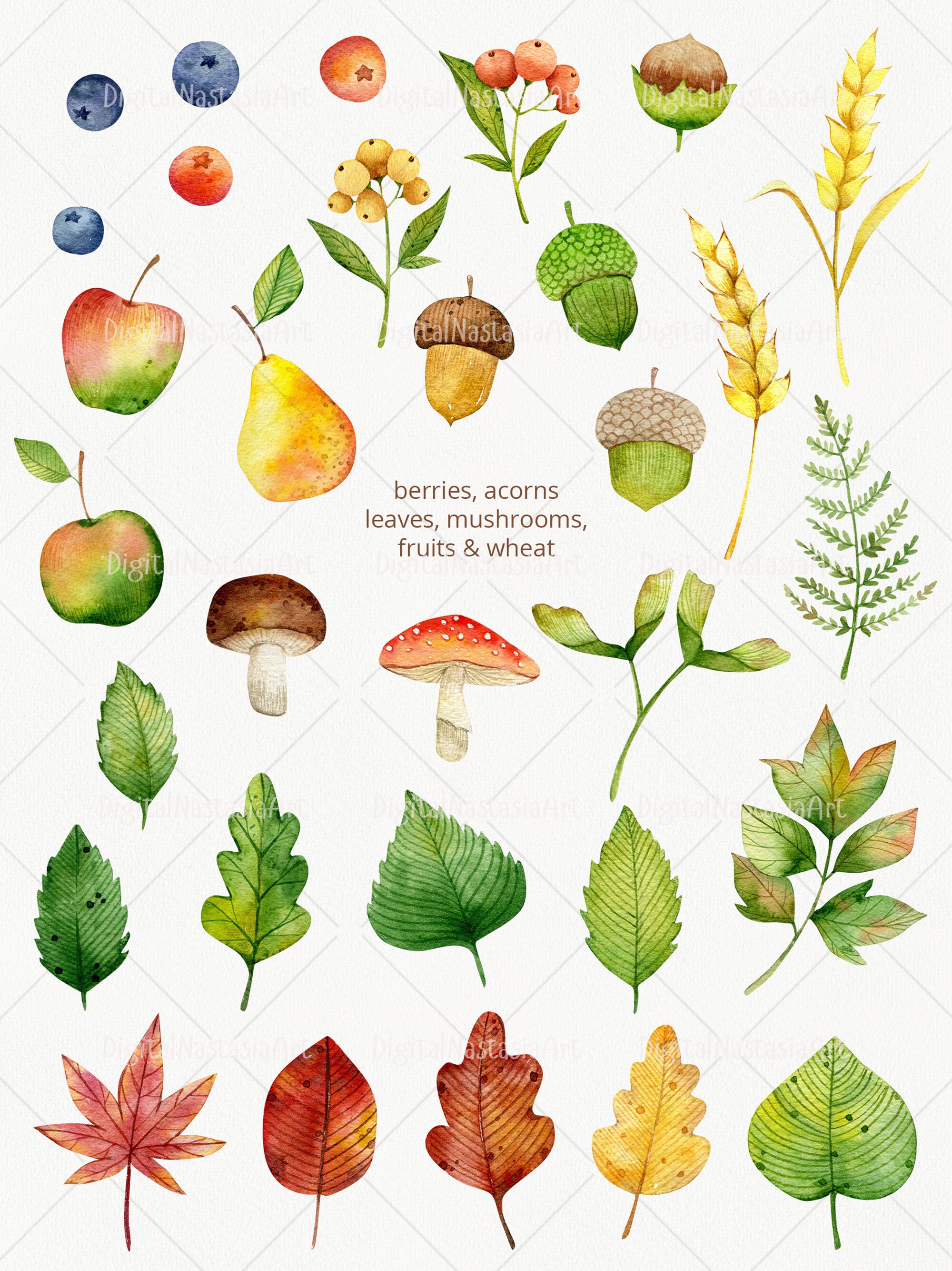 Watercolor Forest Baby Animals Clipart. Woodland Nursery Clip - Etsy