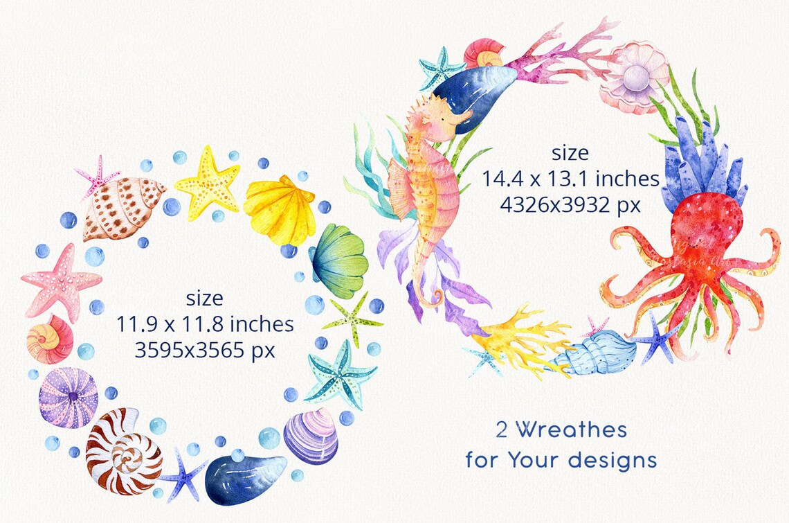 Sea Life Frames. Ocean Animal Clipart. Underwater Borders and - Etsy