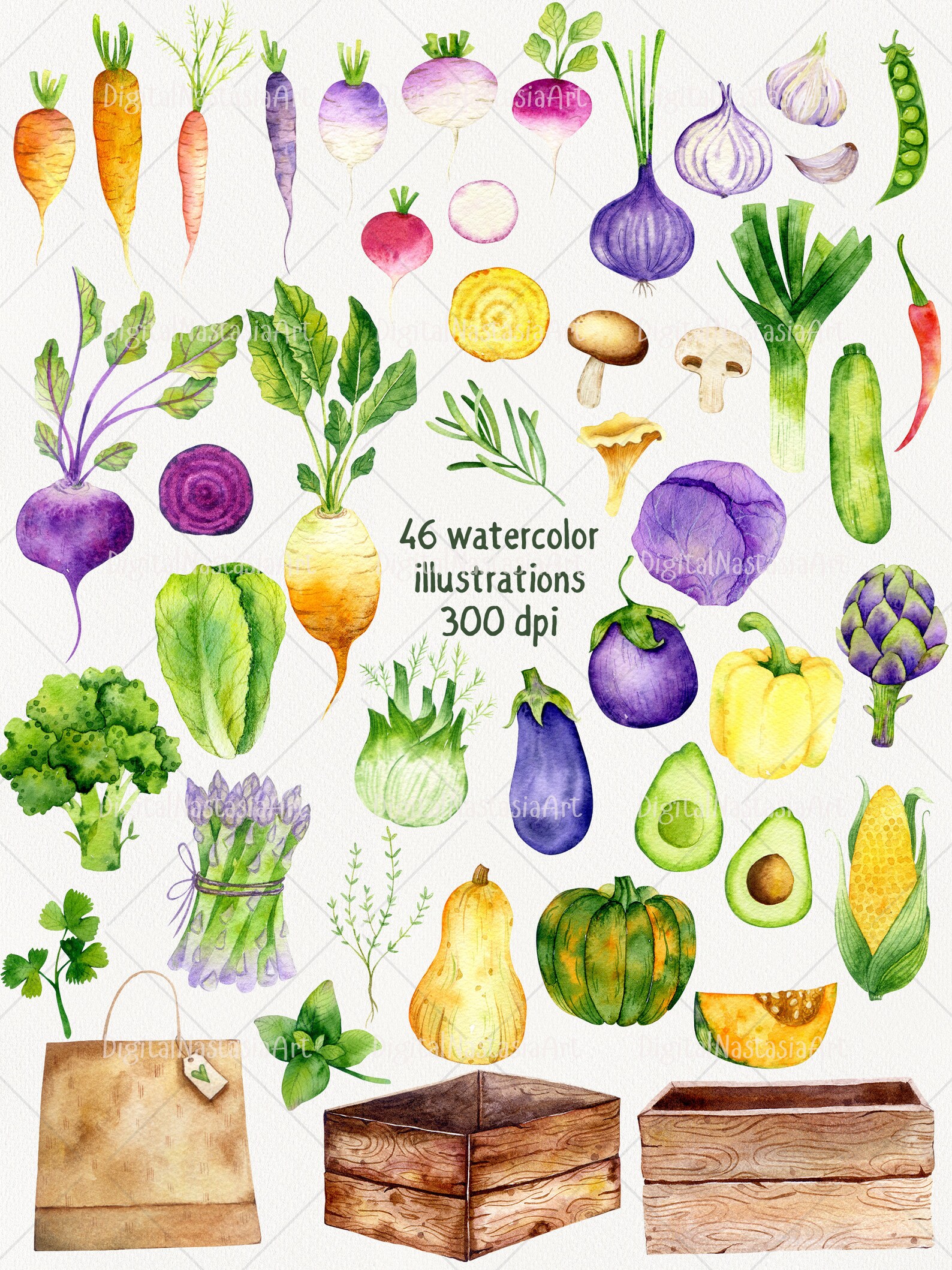 Vegetable Watercolor Clipart Food Clip Art Healthy Food Set - Etsy
