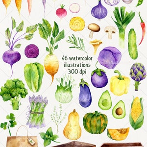 Vegetable Watercolor Clipart, Food Clip Art, Healthy Food Set, Food ...