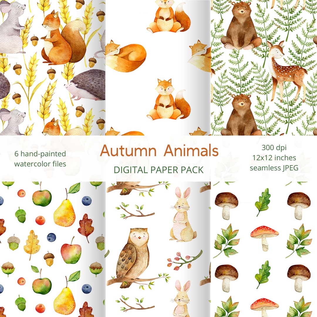 Forest Digital Papers Pack. Woodland Paper Pack. Autumn Background ...