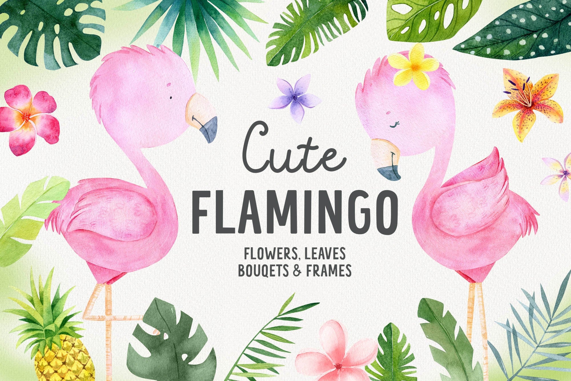 Tropical Flamingo Clipart: Jungle Flowers & Frames (PNG Digital ...