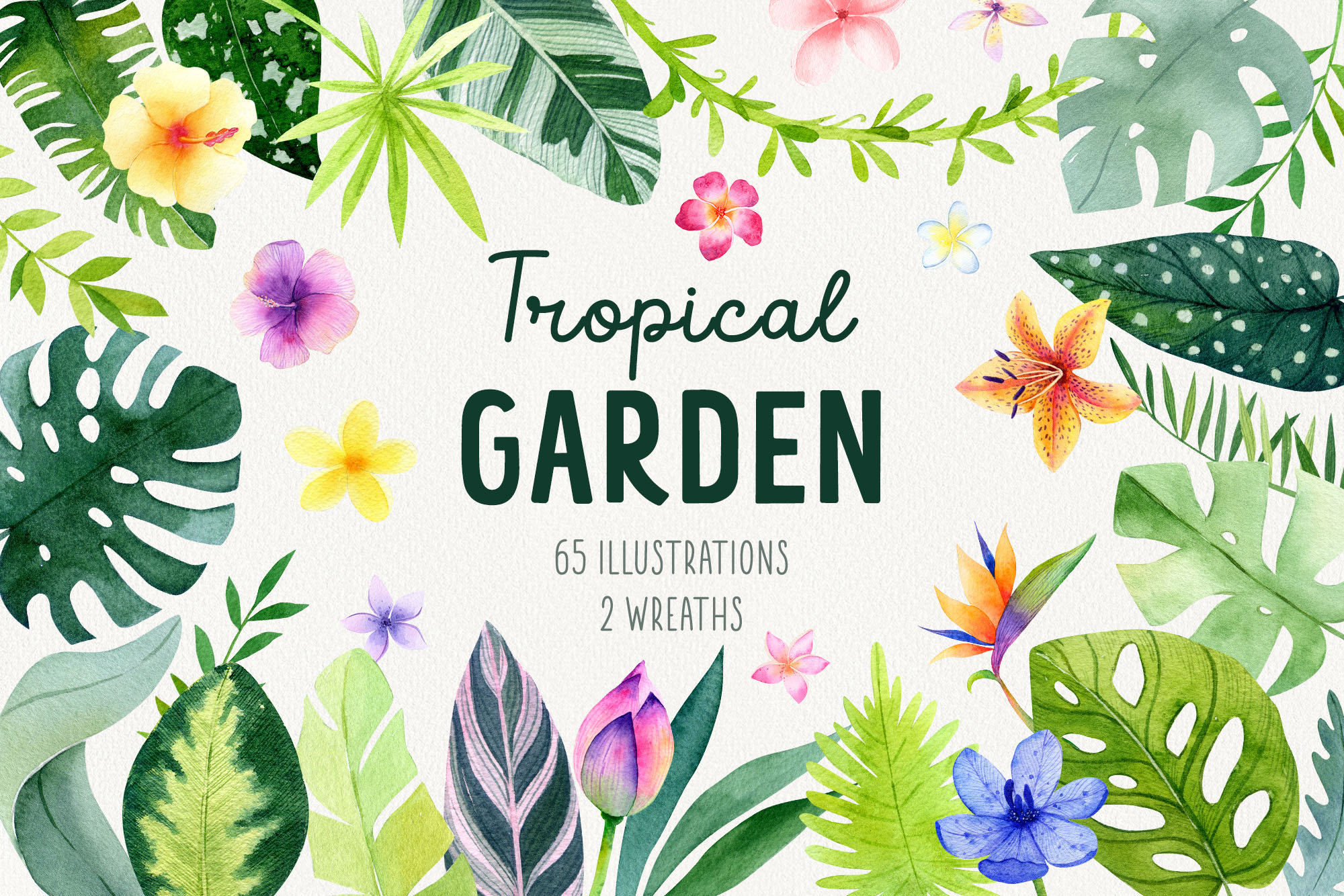 Tropical Flower Hand-drawn Clipart Greenery Summer Clipart - Etsy