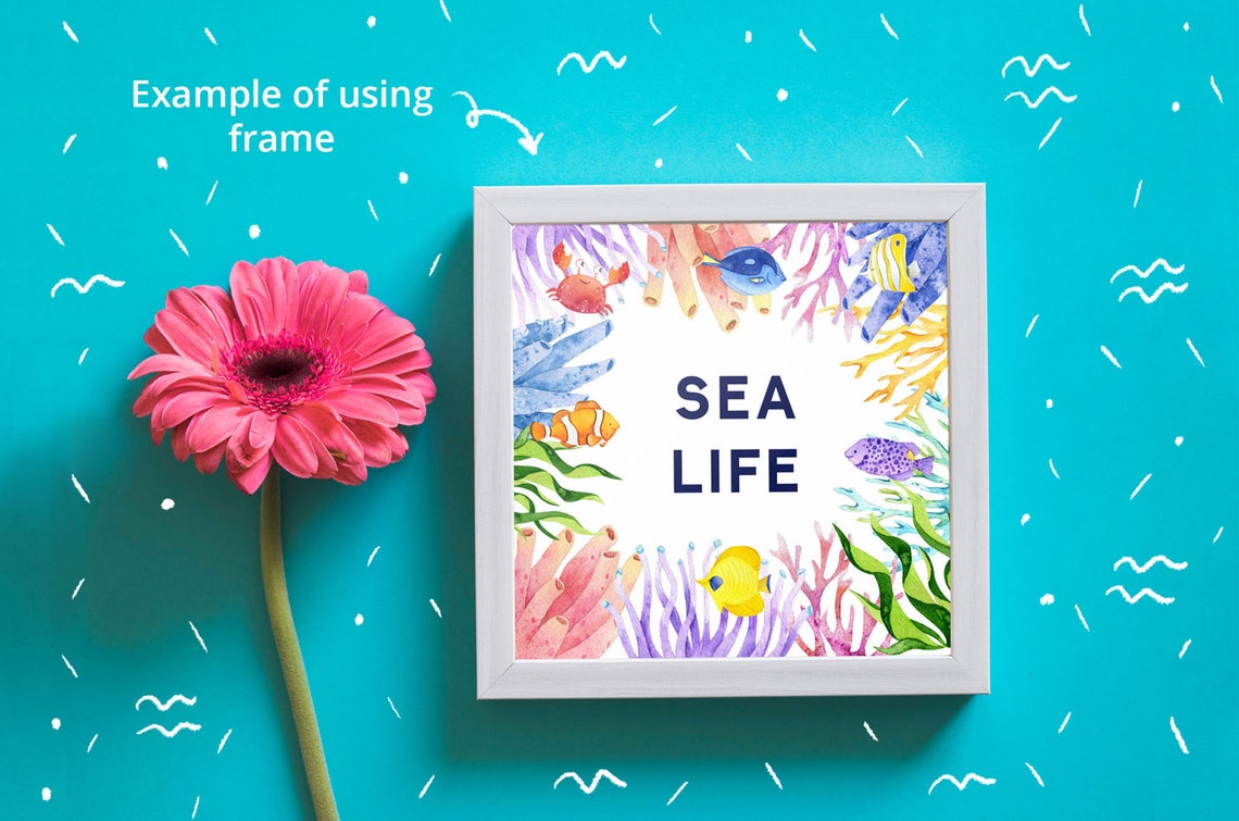 Sea Life Frames. Ocean Animal Clipart. Underwater Borders and - Etsy