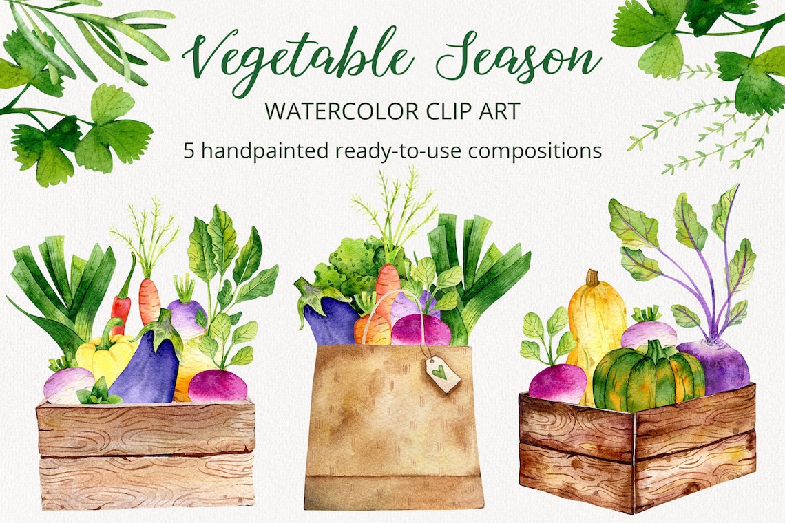 Watercolor Vegetable Clipart. Eco Friendly Farm and Kitchen - Etsy