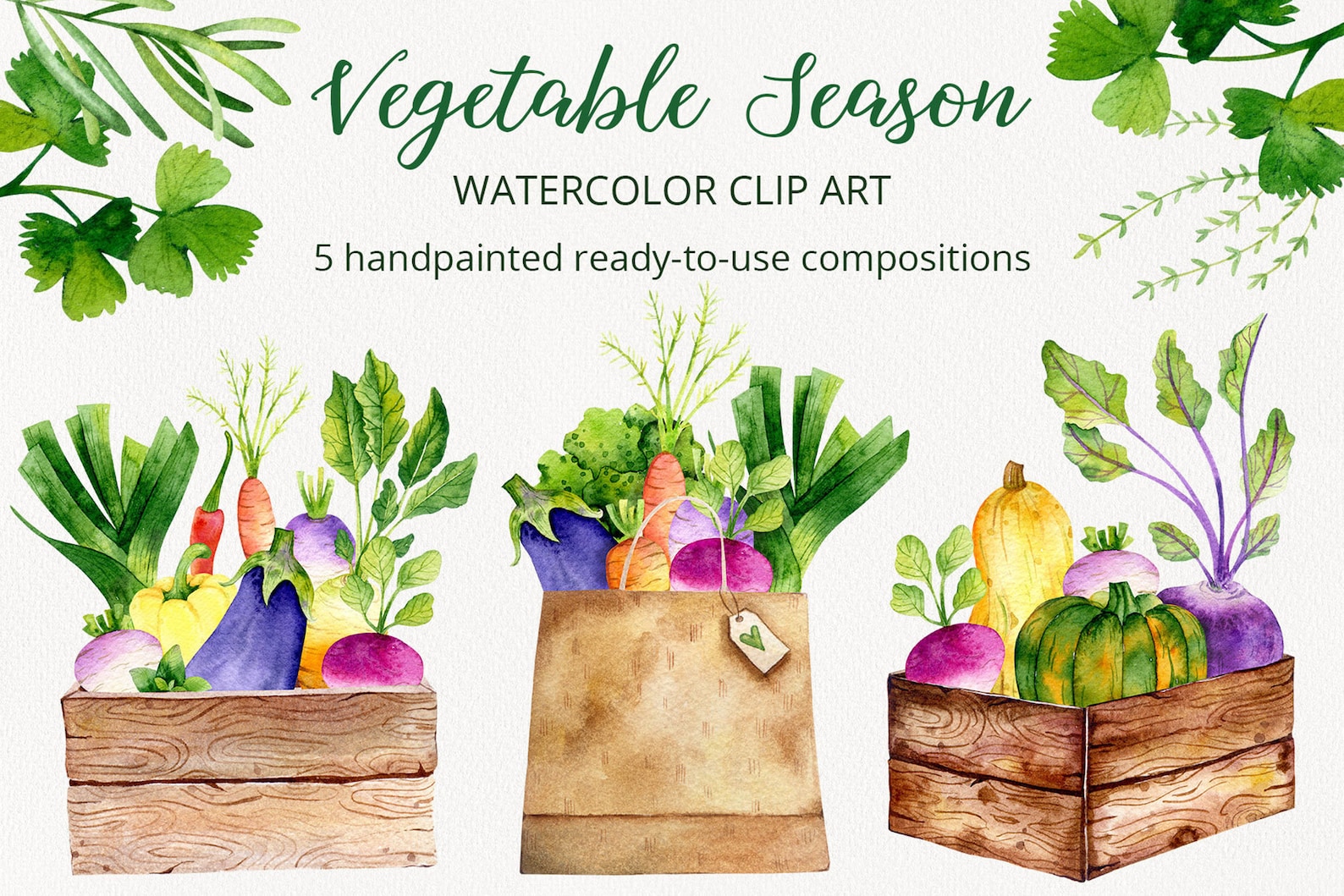 Watercolor Vegetable Clipart. Eco Friendly Farm and Kitchen Clipart ...