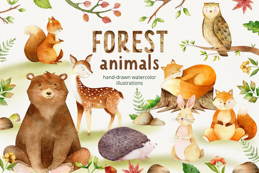 Watercolor Forest Baby Animals Clipart. Woodland Nursery Clip Art. Hand ...