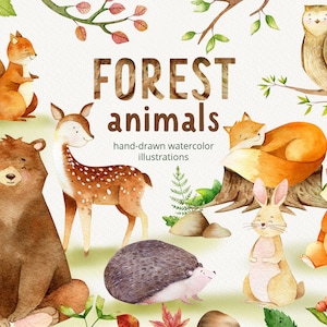 Watercolor Forest Baby Animals Clipart. Woodland Nursery Clip - Etsy