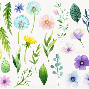 Watercolor Spring Clipart. Flowers. Garden. Floral Spring Element ...