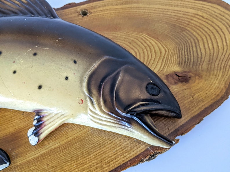 1950s Vintage CHALKWARE MOUNTED TROUT Trophy Fish - Etsy