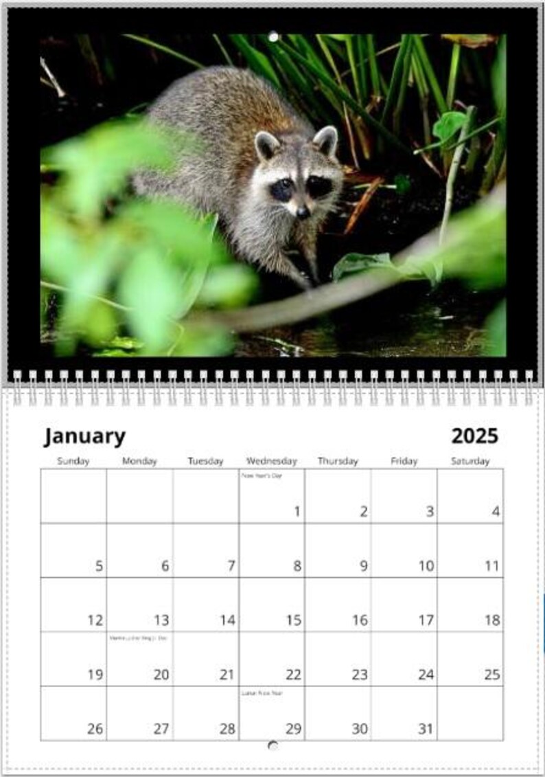 2025 Nature Wall Calendar: A Compilation of Landscapes & Wildlife for ...