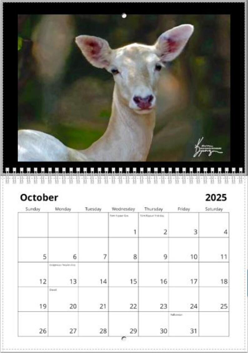 2025 Nature Wall Calendar: A Compilation of Landscapes & Wildlife for ...