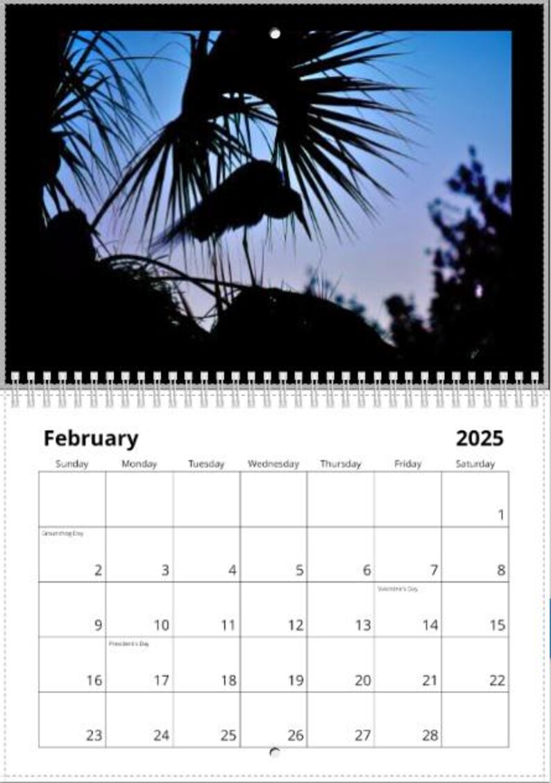 2025 Nature Wall Calendar: A Compilation of Landscapes & Wildlife for ...