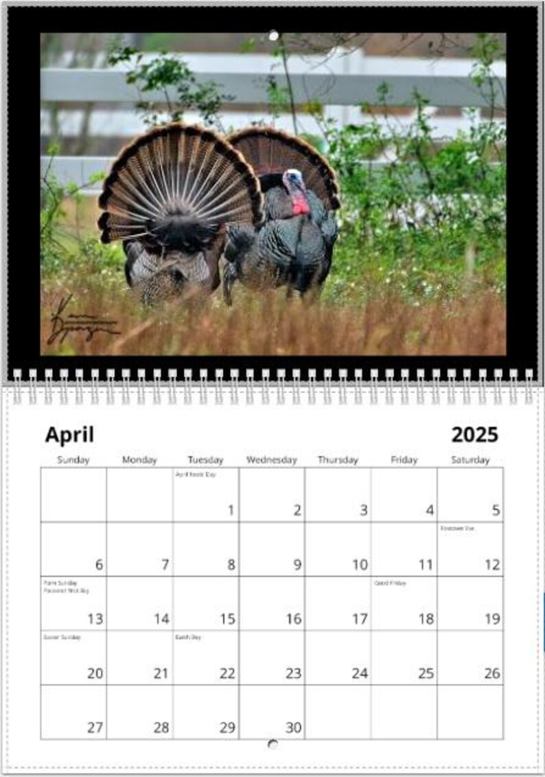 2025 Nature Wall Calendar: A Compilation of Landscapes & Wildlife for ...