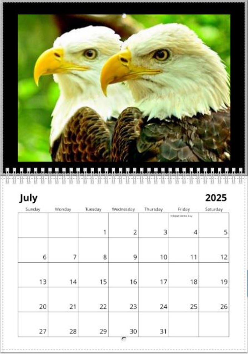 2025 Nature Wall Calendar: A Compilation of Landscapes & Wildlife for ...