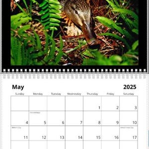 2025 Nature Wall Calendar: A Compilation of Landscapes & Wildlife for ...