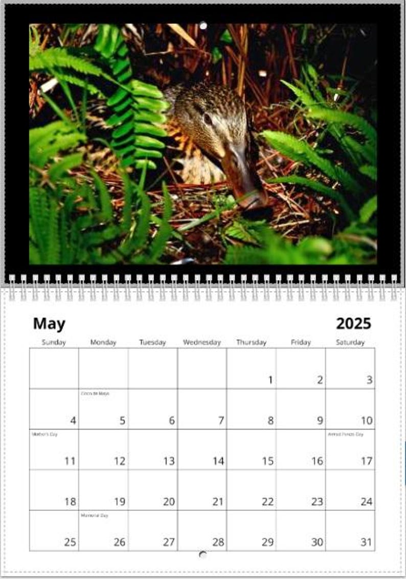 2025 Nature Wall Calendar: A Compilation of Landscapes & Wildlife for ...