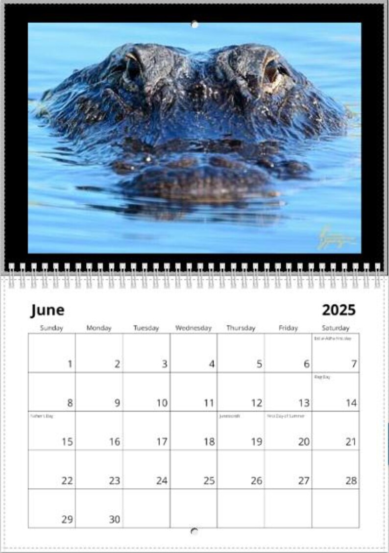 2025 Nature Wall Calendar: A Compilation of Landscapes & Wildlife for ...