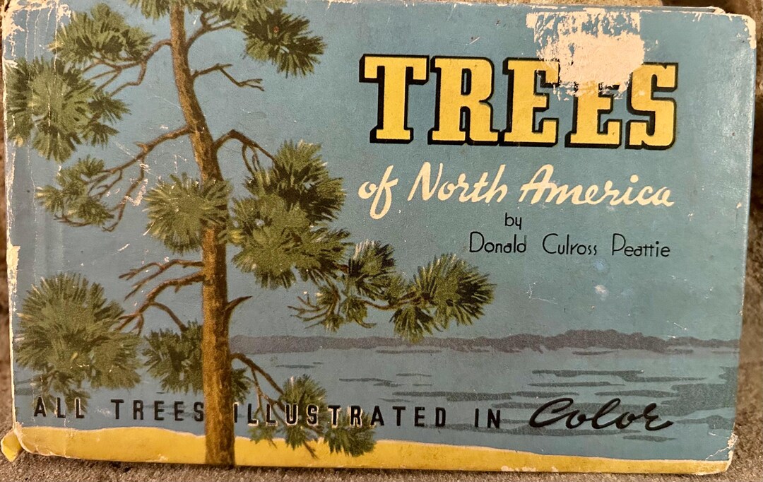 Vintage 1934 Tree Identification Book, Trees You Want to Know by Donald ...